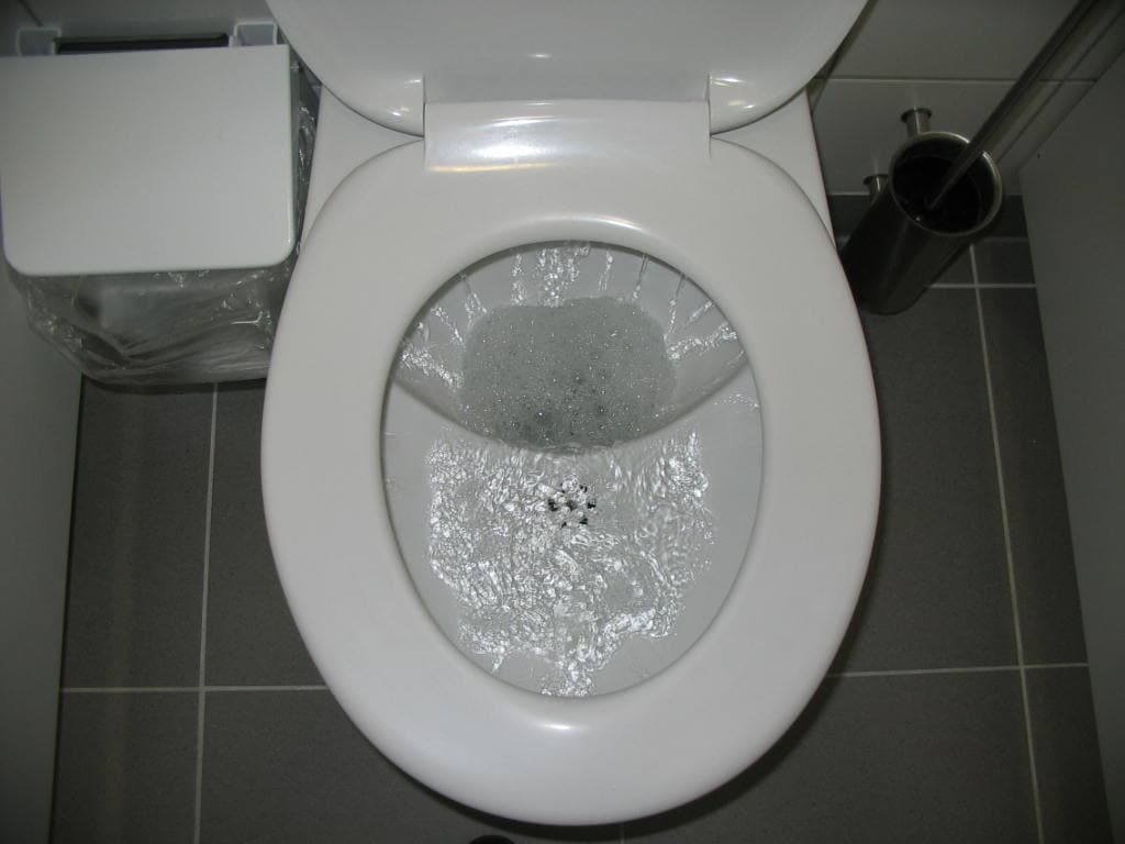 The Real Life Podcast Ep. 354 — We’re up and down like a toilet set