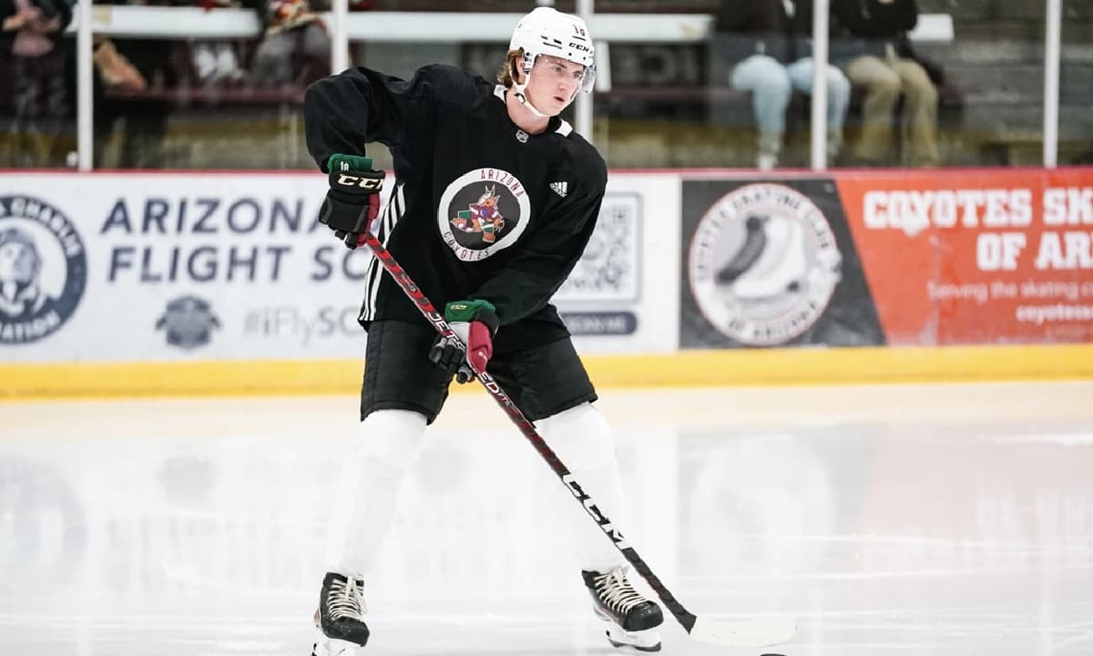 NHL Notebook: Arizona Coyotes sign top-prospect Logan Cooley and eight ...