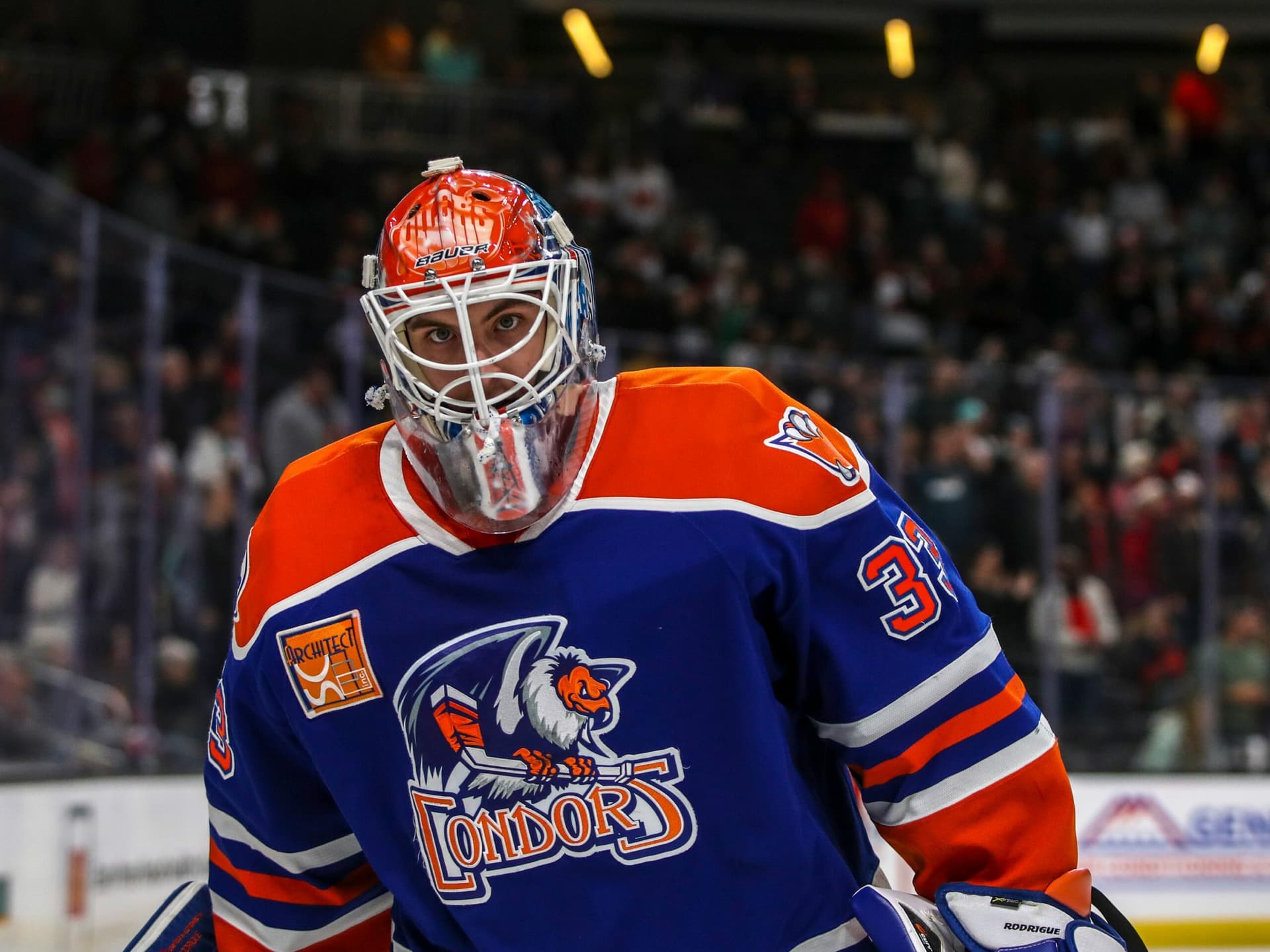 Oilers Nation - News, Roster, Scores, Schedule